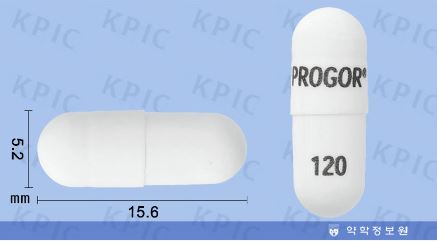 푸로골 서방캡슐 [120mg] ( Progor SR cap [120mg]) | 의약품정보 | 의료정보 | 건강정보 | 서울아산병원